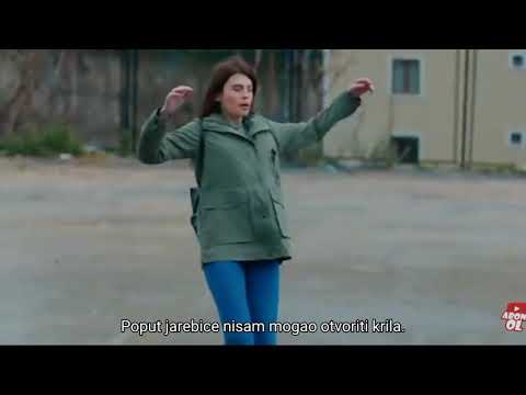 Melek Mosso - Keklik gibi / Ender Balkir - Ruhumda sizi / Pinhanii - Kefen giydim (prevod)