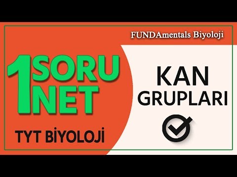TYT Biyoloji Kalıtım | 1 Soru 1 Net