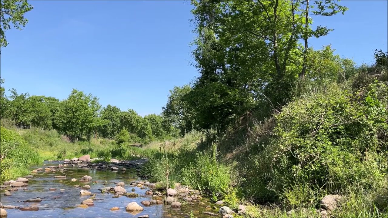 Relax with the sounds of soft running water in nature.. Meditation with ...