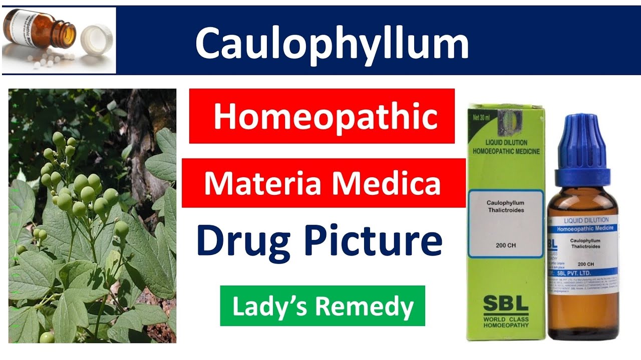 Caulophyllum Homeopathic Medicine | Drug Picture | Materia Medica #bhms ...