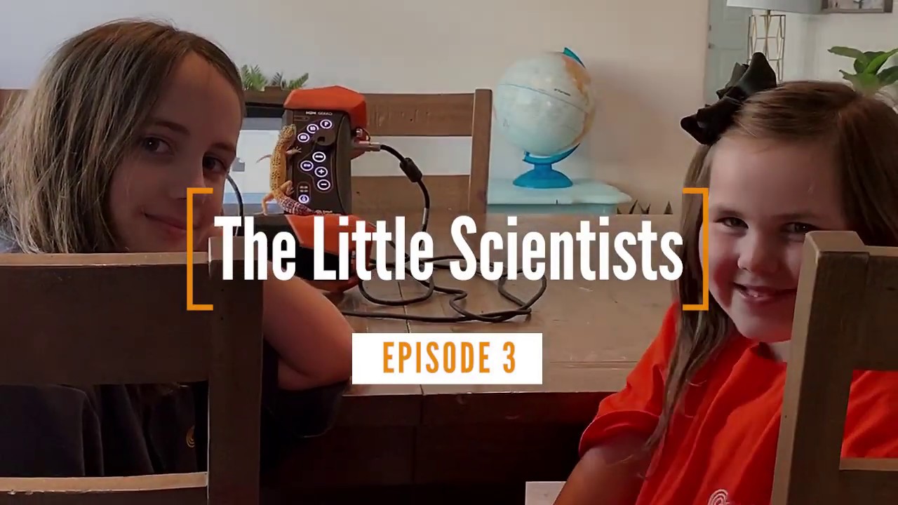 The Little Scientists Episode 03 - YouTube