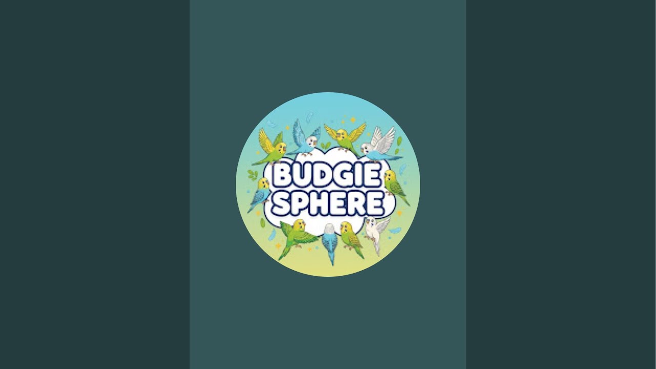 Budgie Sphere is live - YouTube
