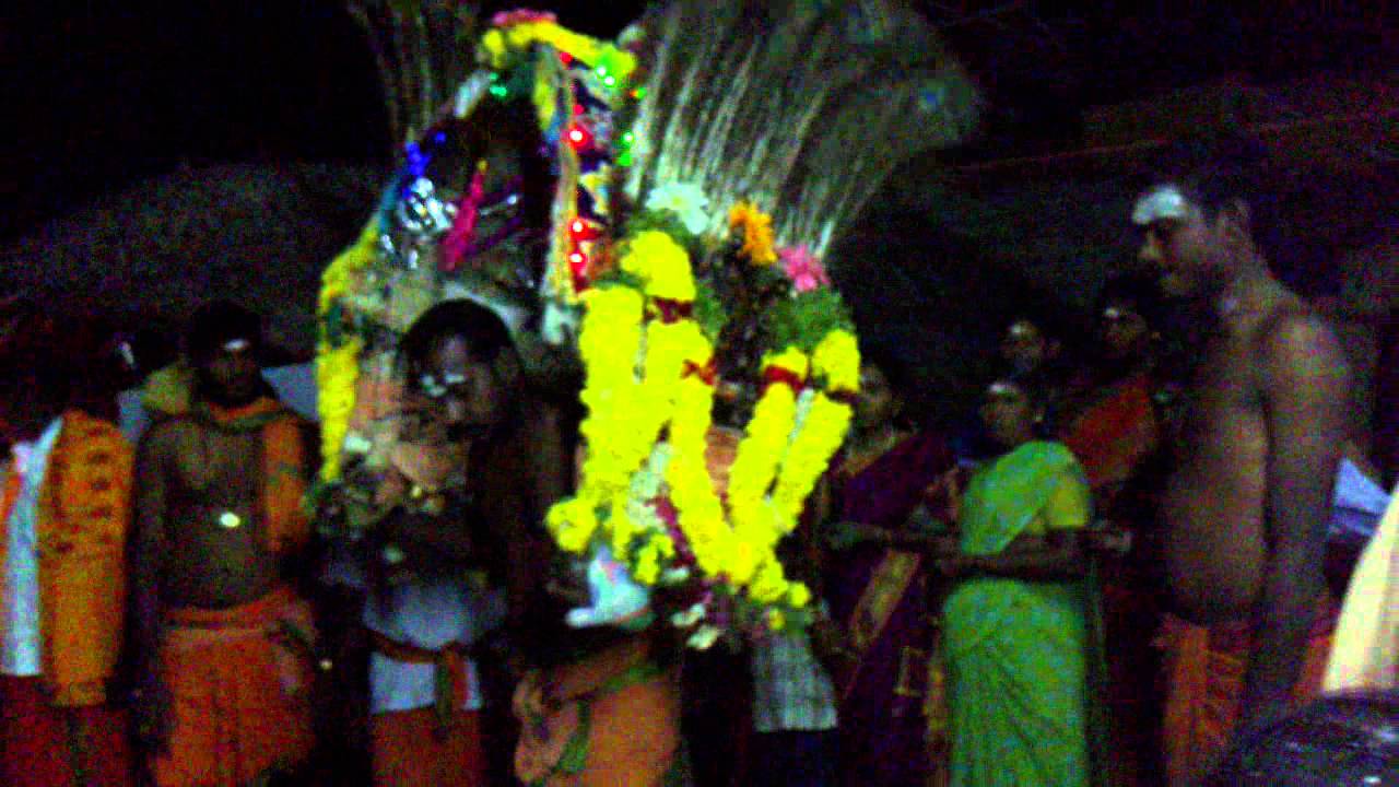 idappadi kavadi function paruvatha rajakulam taipusam kavadi function ...