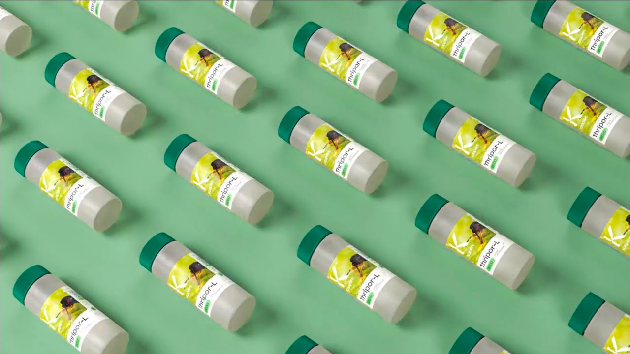 Conoce el nuevo look de nuestros productos - YouTube