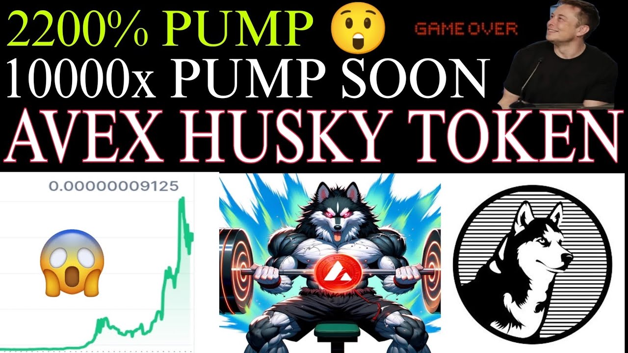 Husky Avex Token 2200% Pump 😲| Husky Avex Token Price Pridiction | Don ...