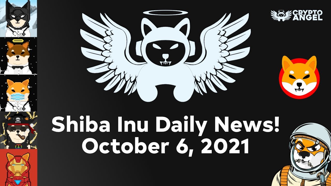 Shiba Inu Daily News - October 6 2021! Shiboshi NFT Leaks! - YouTube