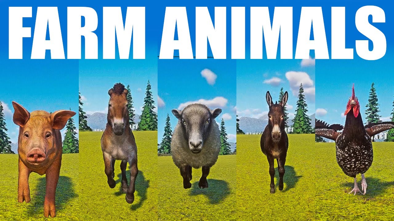 Farm Animals Speed Races in Planet Zoo included Donkey, Chicken, Horse ...