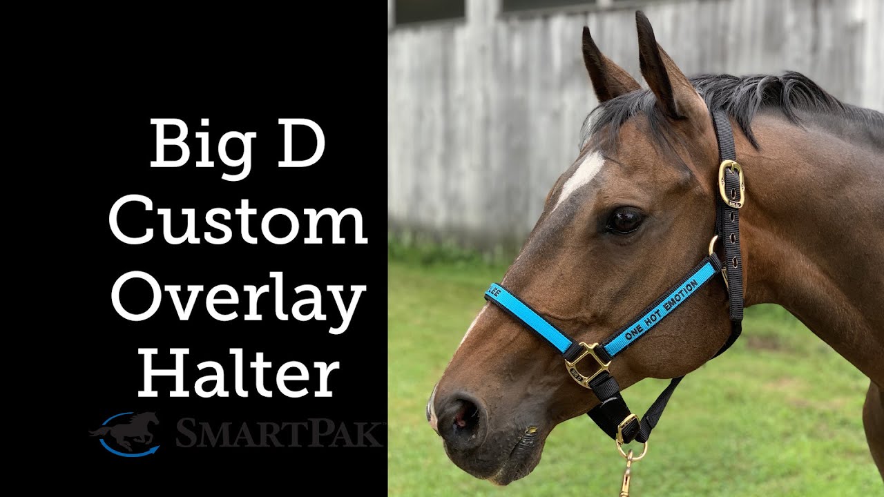 Big D Custom Overlay Halter Review - YouTube