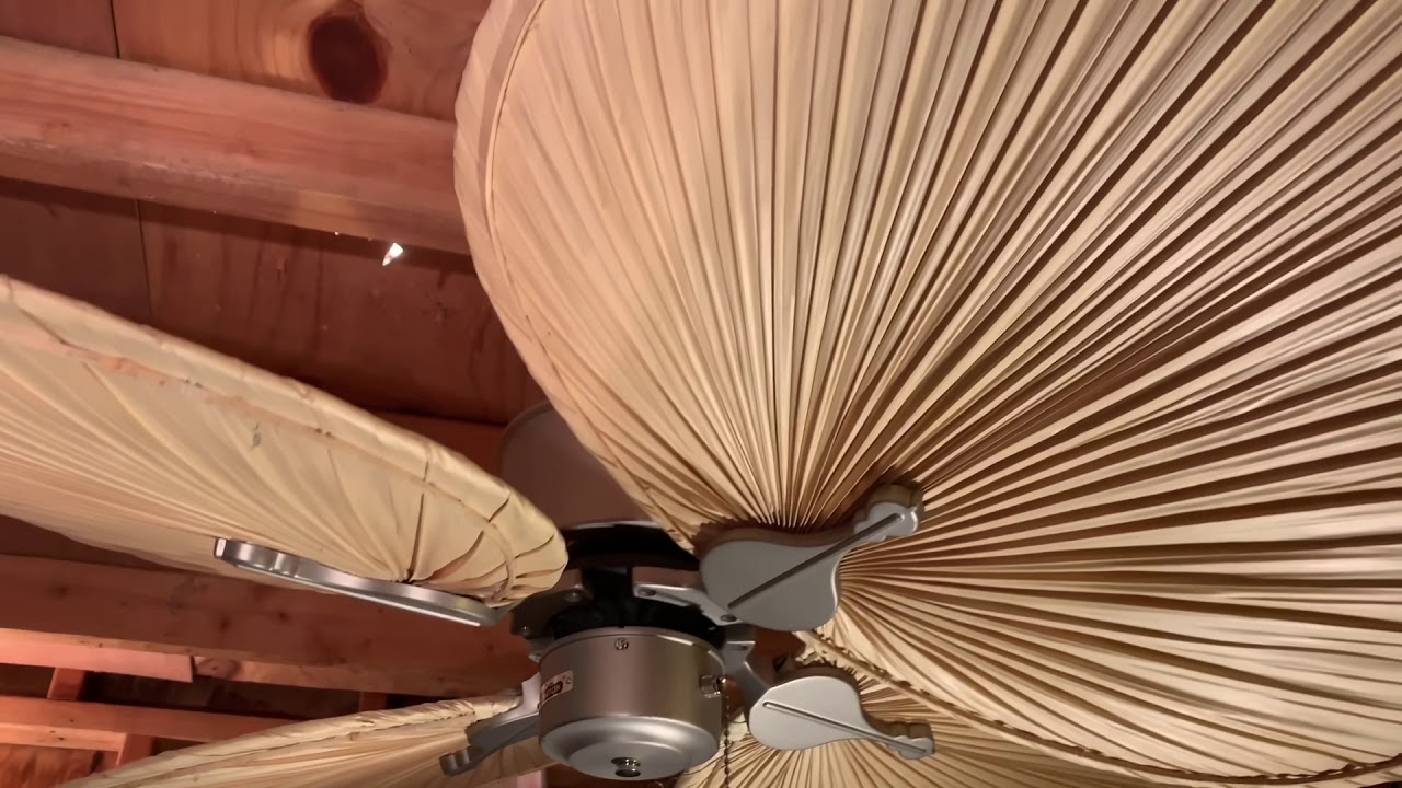 Fanimation "Islander" Ceiling Fan | 4 Blades (Palm) - YouTube
