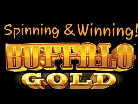 Buffalo Gold - Spinning & Winning! 🍀🙋‍♂️😯🥂 - YouTube