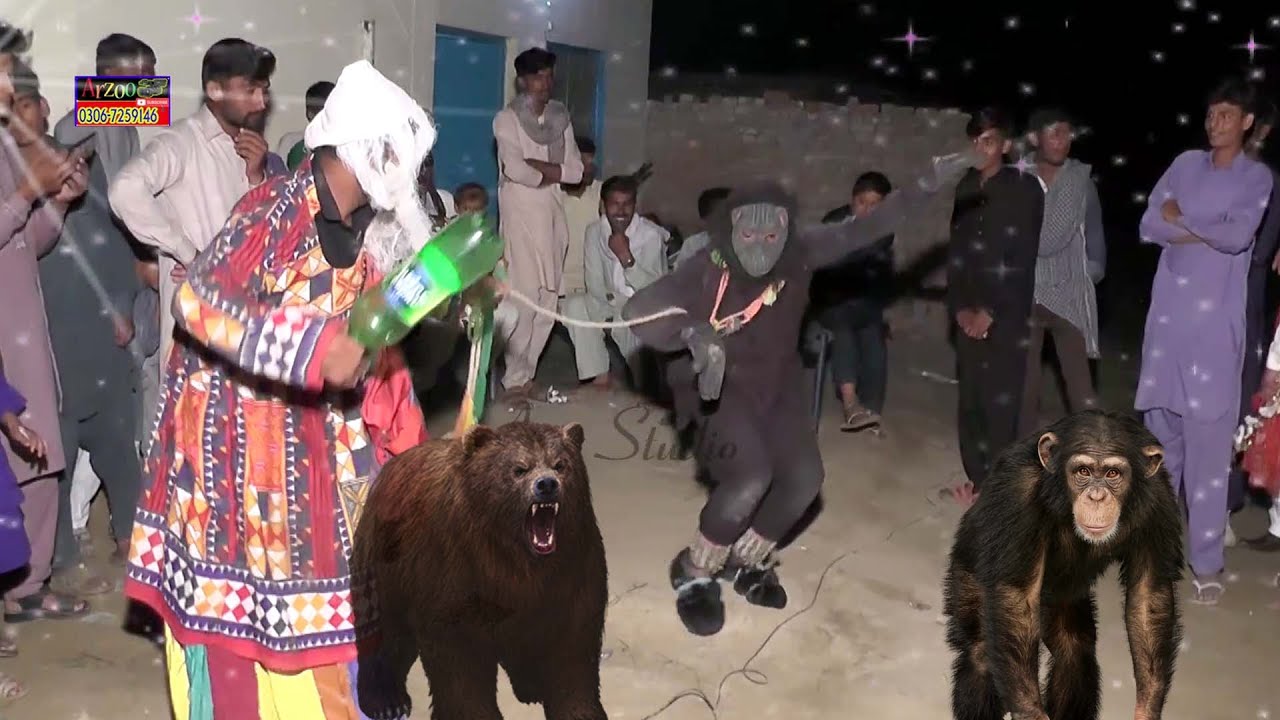 Rich Aur Bandar Dance Dhol Animals Arzoo Studio - YouTube