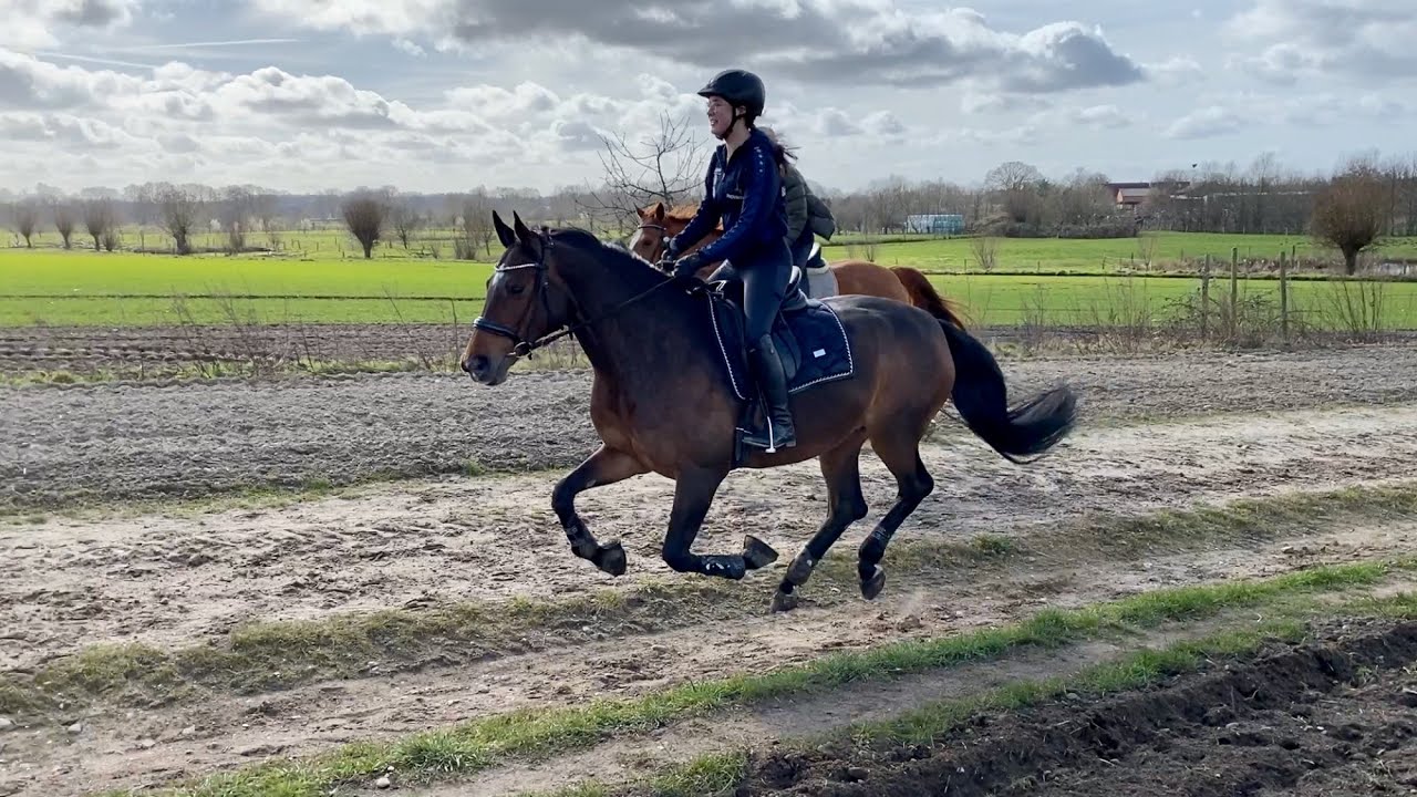 Jens und Victoria gehen ausreiten | Sturz 😱🚲 - YouTube