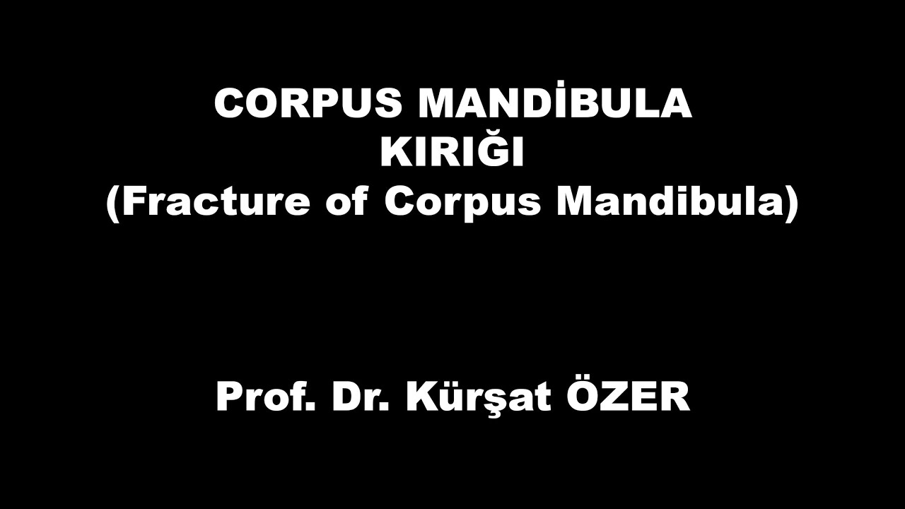 Köpekte Corpus Mandibula Kırığı Fracture Of Corpus Mandibula Youtube
