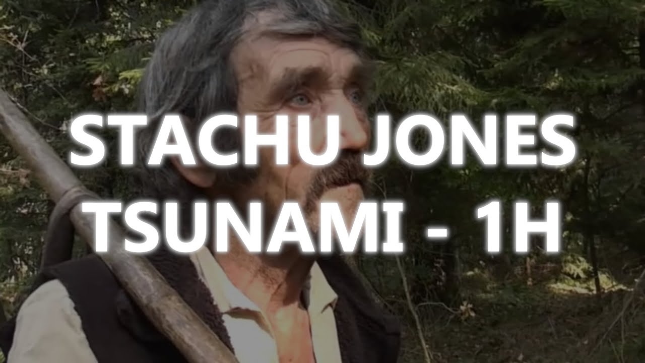 STACHU JONES - TSUNAMI | 1H - YouTube