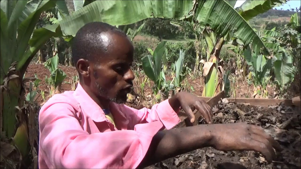 Sokoru Vermi Compost Preparation - YouTube
