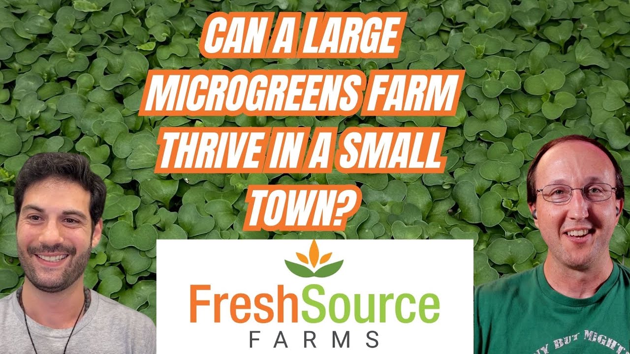 Scaling Microgreens in a Small Town: Fresh Source Farms’ Winning Strategy - YouTube