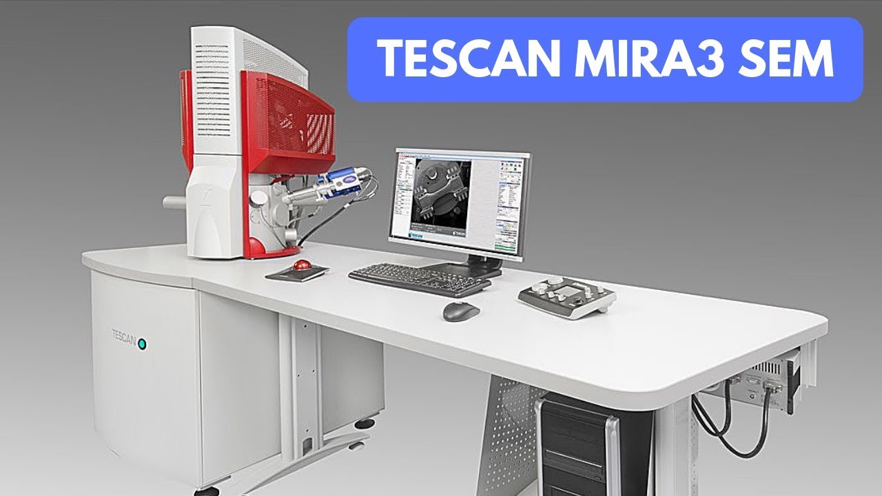 Tescan Mira3 SEM: basic imaging - YouTube