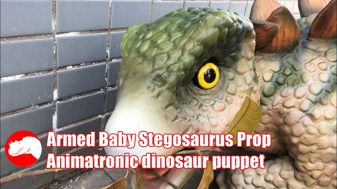 Armed Baby Stegosaurus Prop - Interactive Animatronic Dinosaur Puppet ...