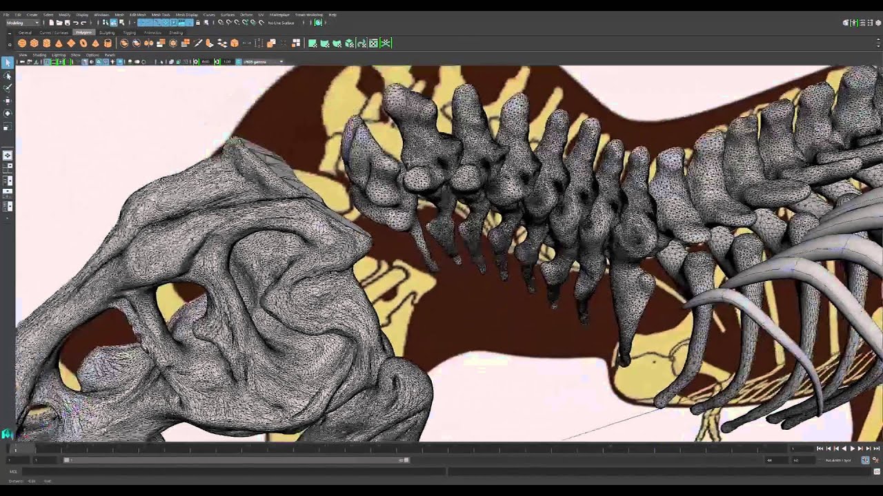Interactive VR Dinosaur Skeleton - Part 2 - 3D Modeling - YouTube