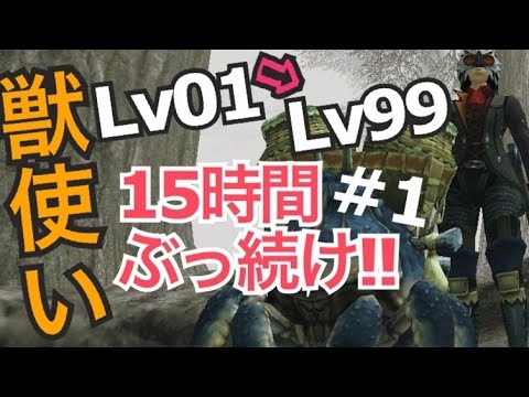 【FF11】獣使いレベル上げLv1→99目指す① - YouTube
