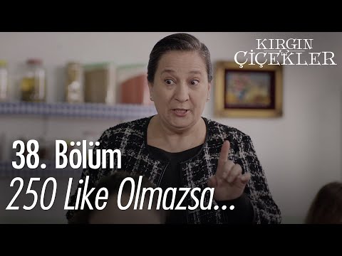 Neriman'ın sosyal medya merağı! - Kırgın Çiçekler 38. Bölüm