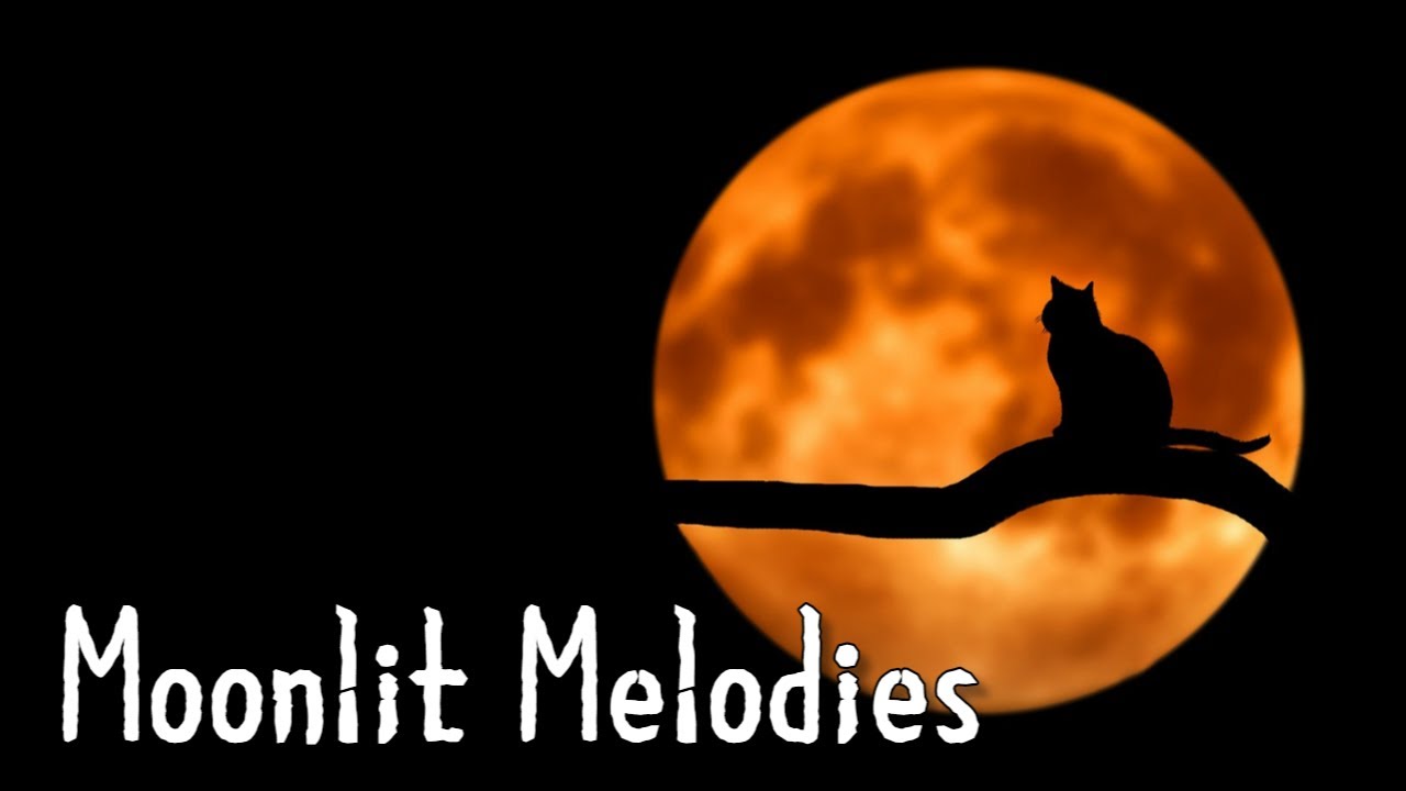 Moonlit Melodies, Calming Piano Music for a Serene Atmosphere - YouTube