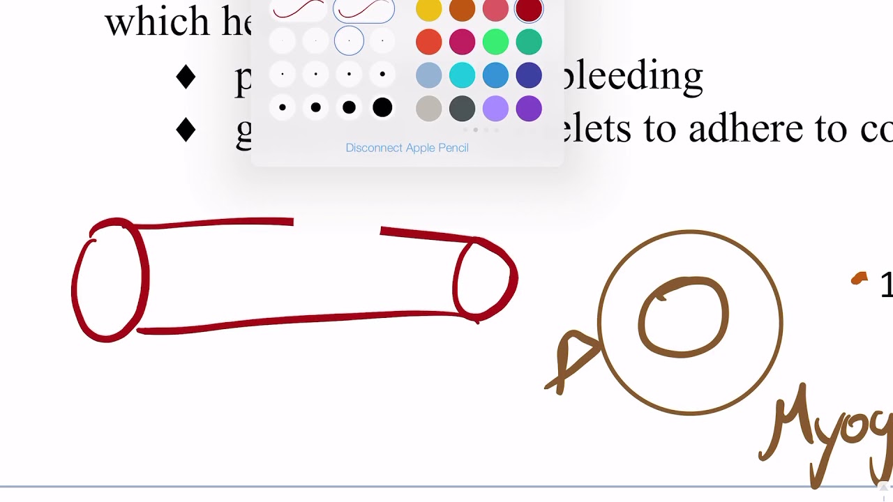 Hemostasis ( Local vasoconstriction) - YouTube