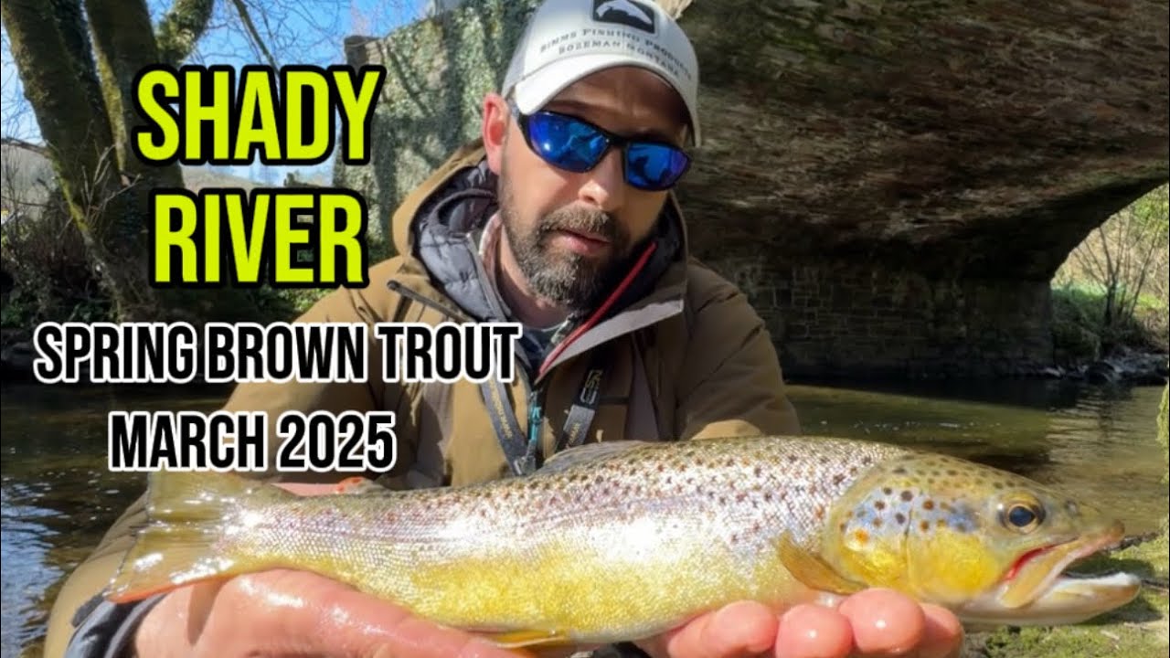 Spring Brown Trout - YouTube
