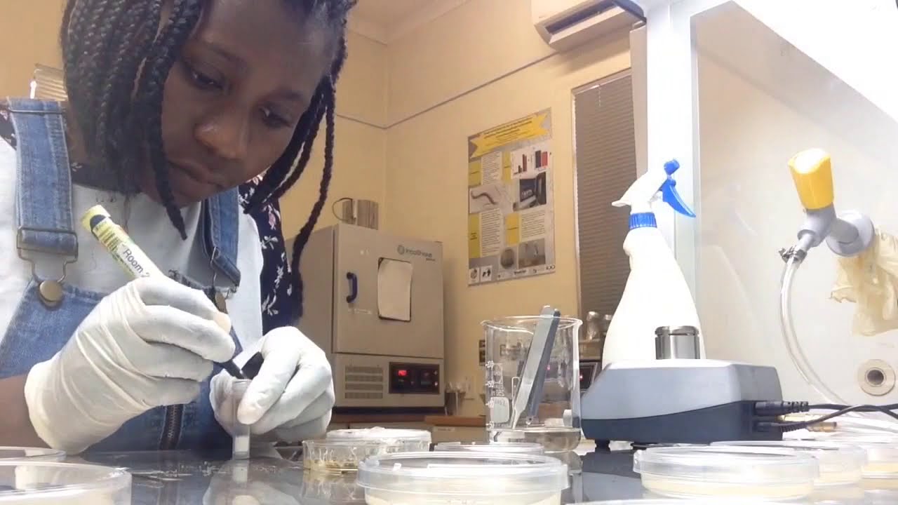 A day in a life of an entomologist - YouTube