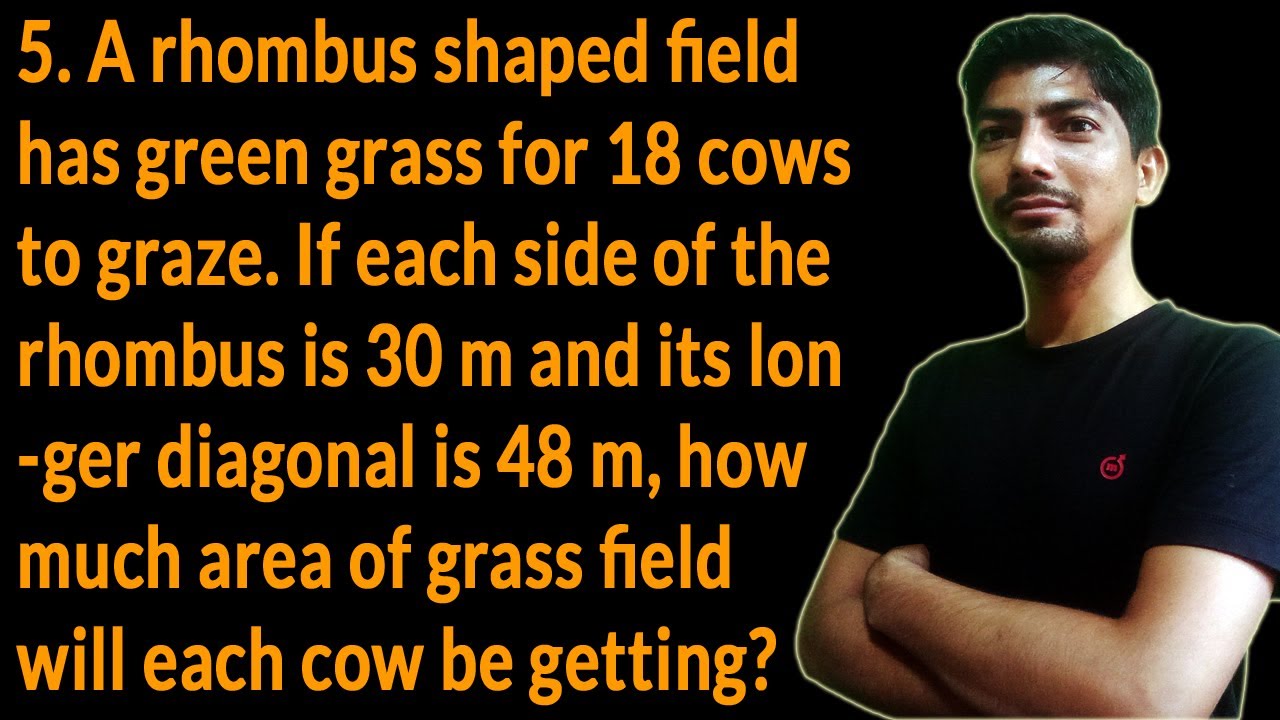 a rhombus shaped field has green grass for 18 cows to graze if each ...