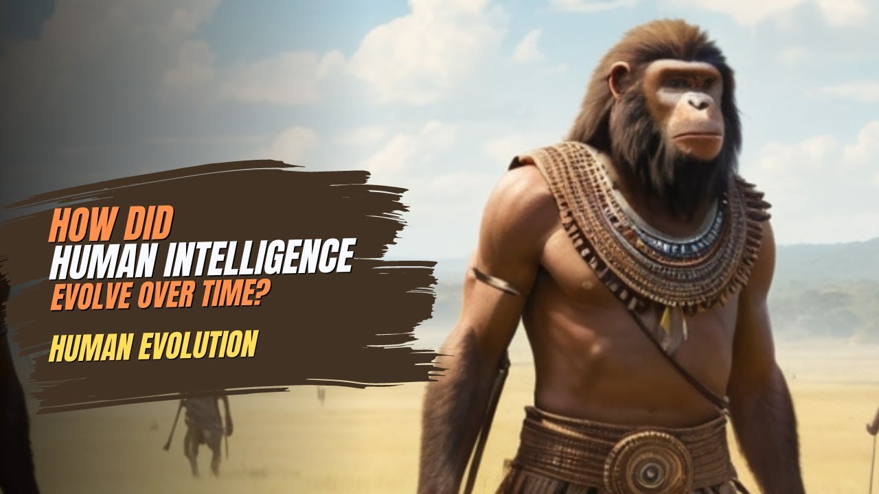 How Did Human Intelligence Evolve Over Time? How humans evolved to be ...