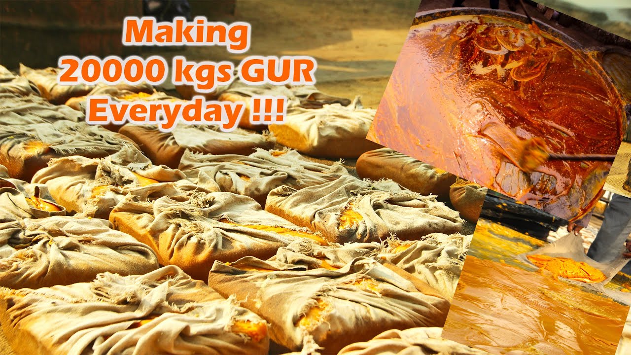 ऐसा Banta है 20000 kg Gur ( गुड )🤩🤩 || Gur making process In Village ...