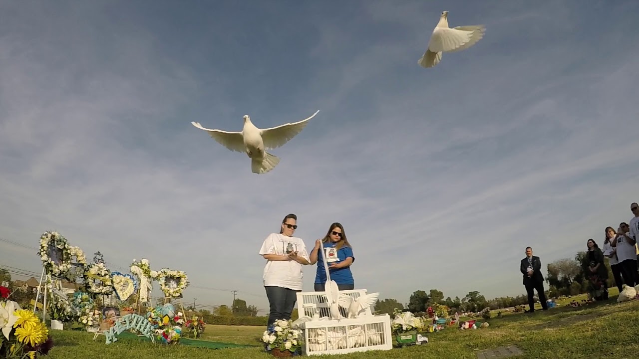 Funeral Doves of Portland Oregon - YouTube