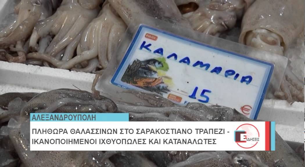 ΣΑΡΑΚΟΣΤΗ ΚΙΝΗΣΗ ΙΧΘΥΟΠΩΛΕΙΑ - YouTube