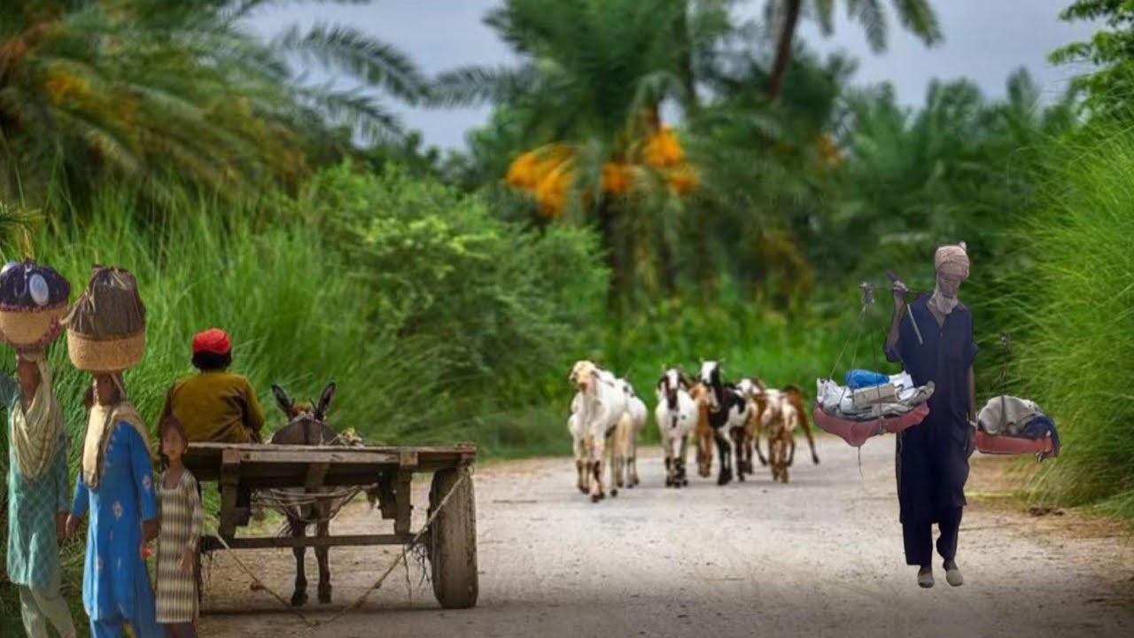Most Beautifull Village Life in Punjab Pakistan||Daily Routine work ...