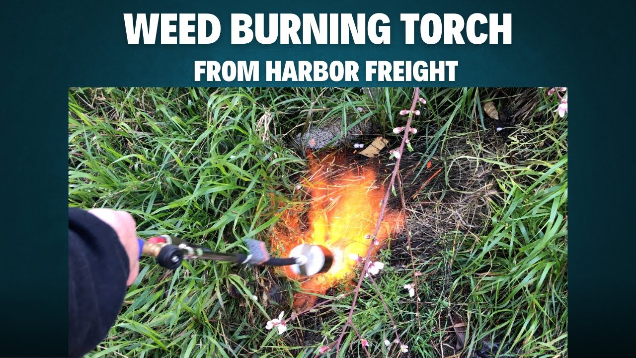 I Test This Powerful Weed Burning Torch From Harbor Freight - YouTube