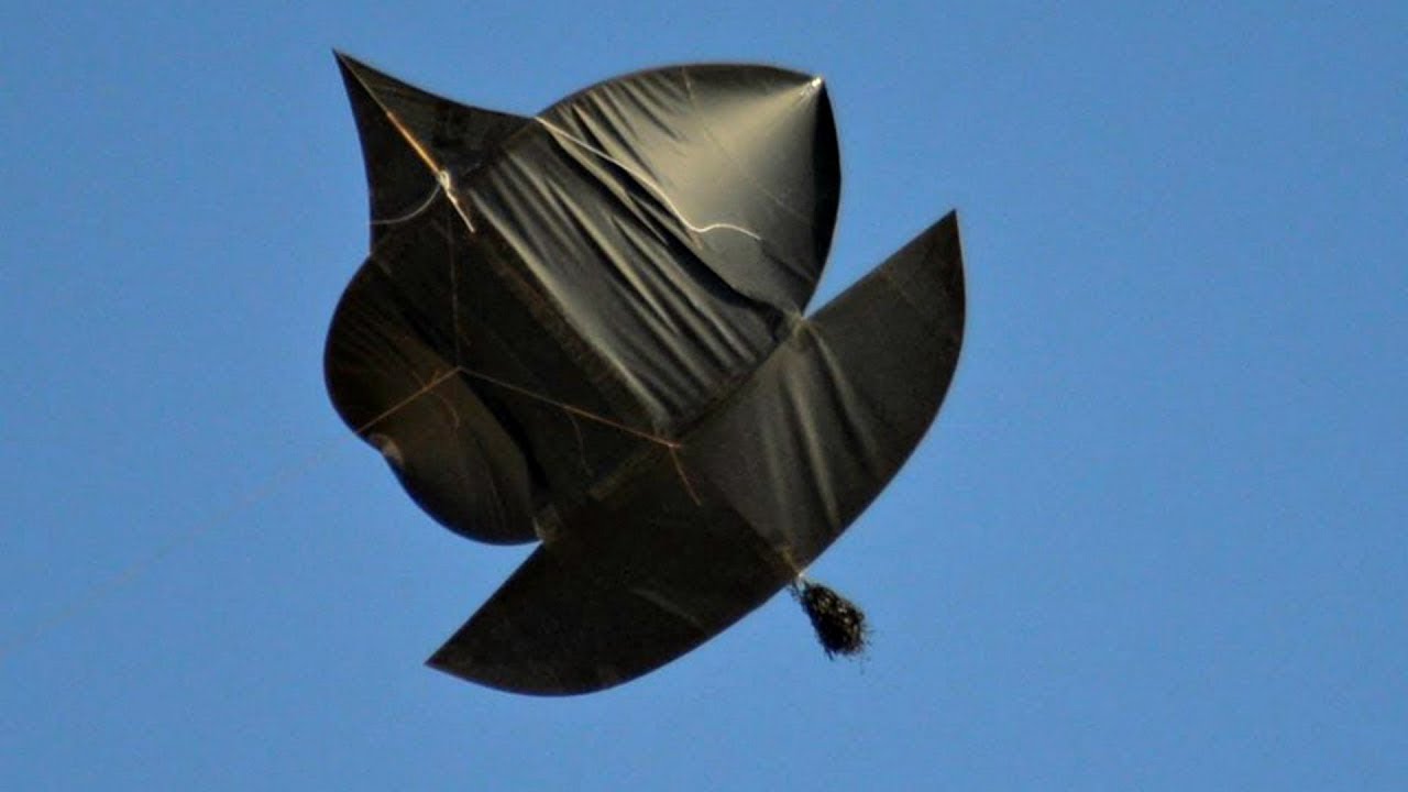 Kite Flying & Pech in naran | best patang paich | Kite Fighting kite ...