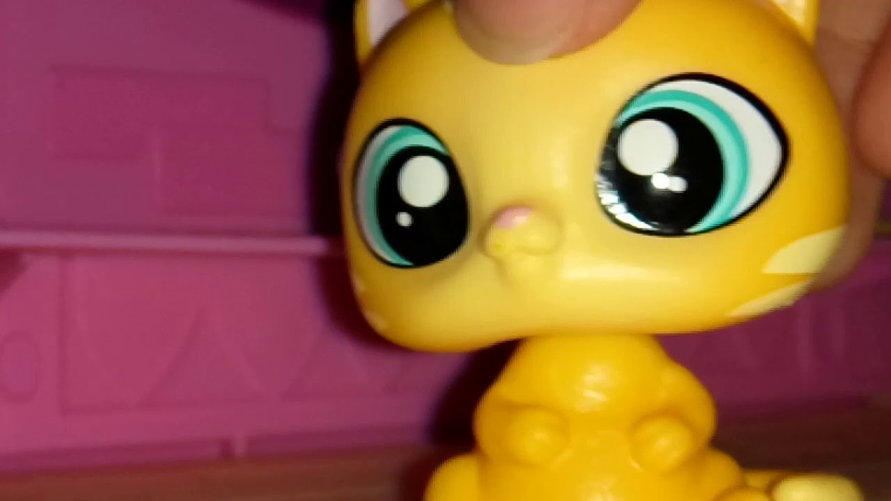 LPS : Café - YouTube