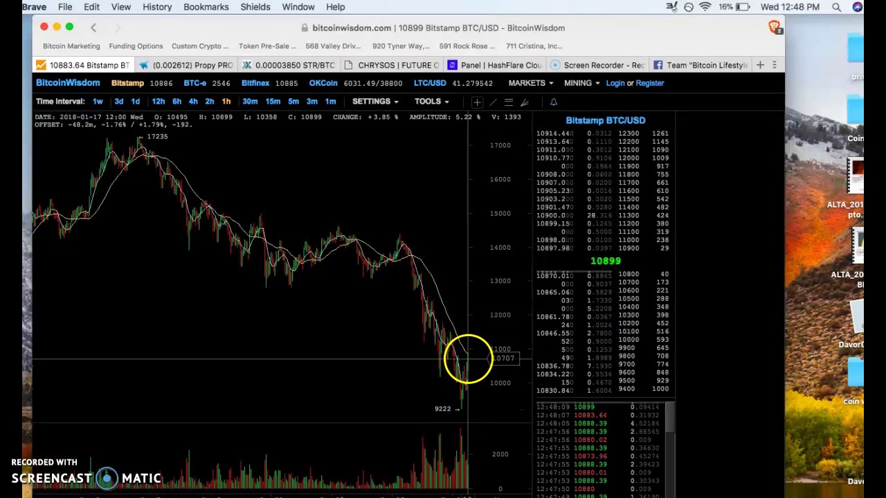 Stellar, Ethereum, Monero Rising against Bitcoin post Crash, Bitconnect ...