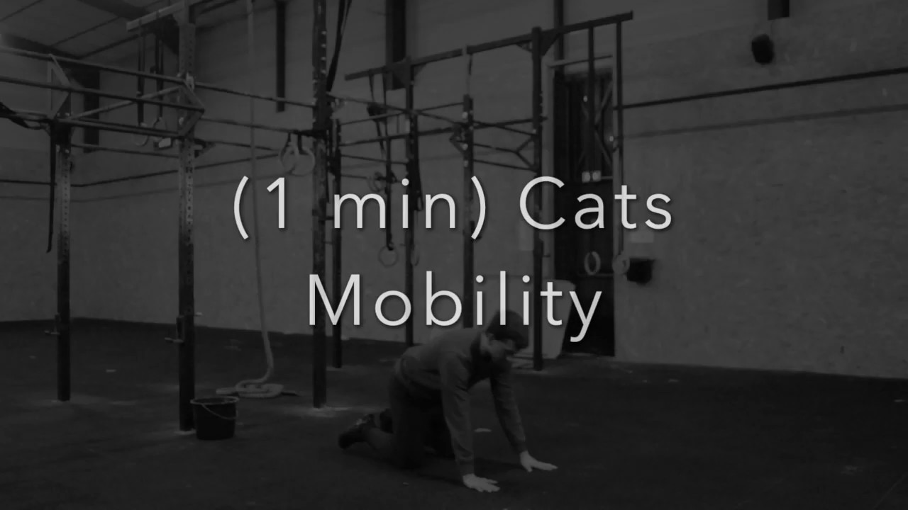 ROUTINE#1 DYNAMIC MOBILITY - YouTube