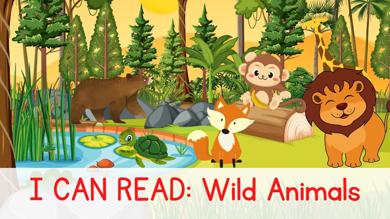 Learn Wild Animals Name || Wild Animals for Kids - YouTube