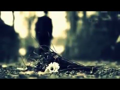 Adını Dağlara Yazdım (#Şeyhmus 'Can#)