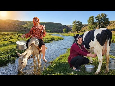 Riding My Donkey to our COWS 🫏| He Follows Me EVERYWHERE! | Village Life #rurallife 