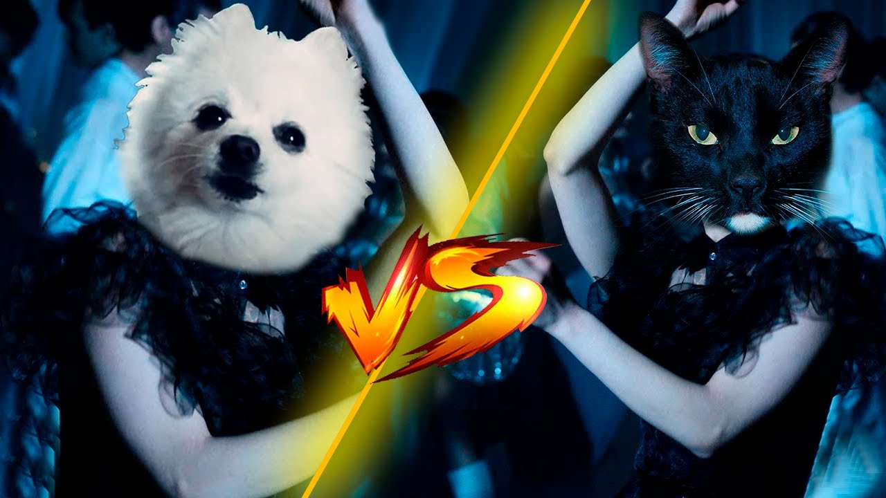 Merlina - Bloody Mary (Cover Animales) - YouTube