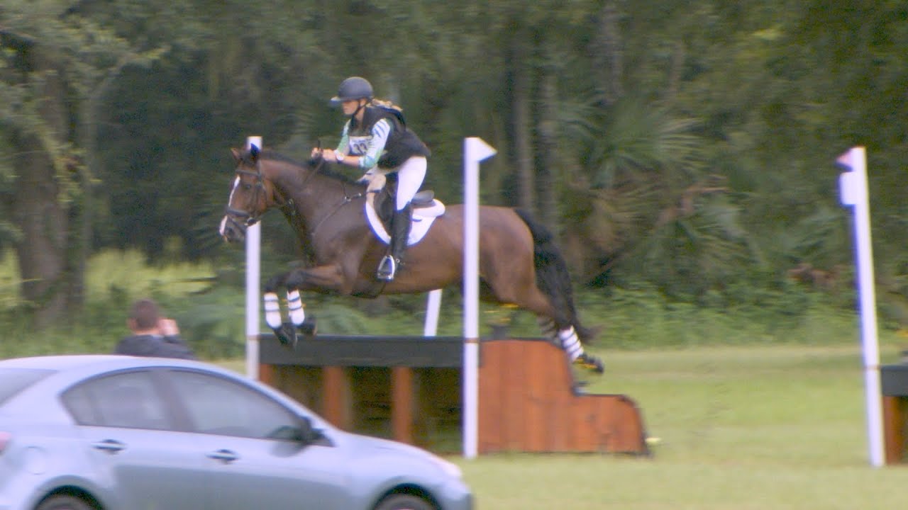 Ella Hubert "Ardeo Dance Monkey" (JTR) Ocala Horse Trials 8/20/2023 ...