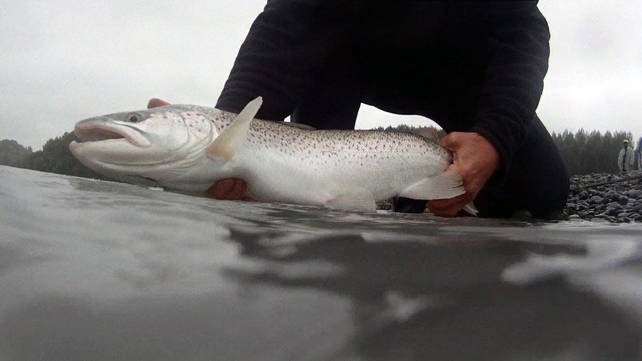The Complete Guide to Sea-Run Trout Fishing - YouTube