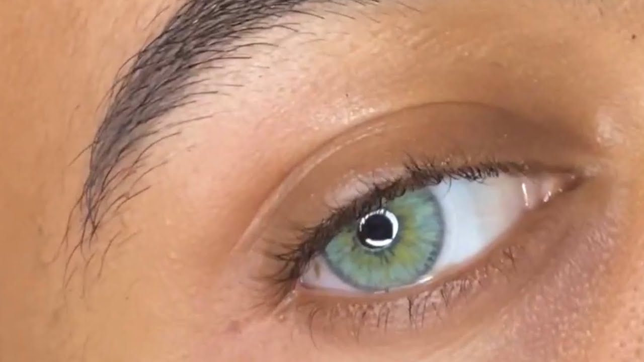 NEW AFFORDABLE CONTACT LENS FOR DARK EYES Ft JUST4KIRA Alpha Green ...