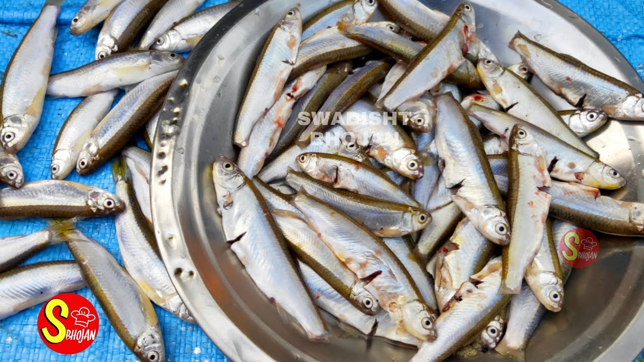 chelwa machli saaf kaise kare छोटी चेलवा मछली धोने और साफ करने का सही ...