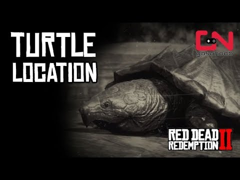 RDR2 Online - Turtle Location - Daily Challenge - YouTube