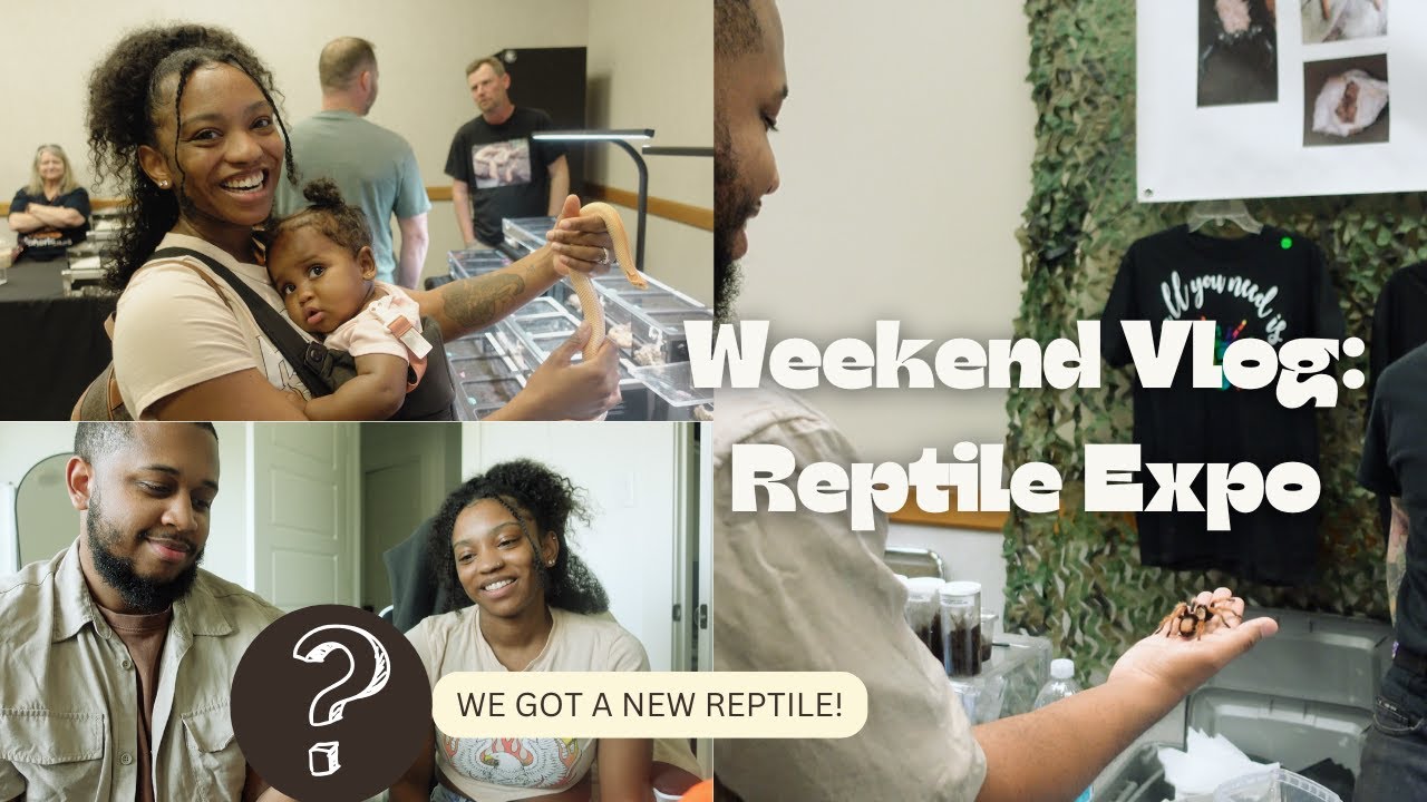 SPEND A FUN WEEKEND WITH ME | DALLAS REPTILE EXPO VLOG (getting a new ...